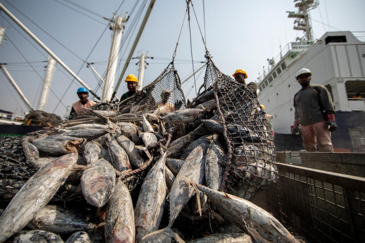 New labour laws for fishing industry - The Brief | Namibia's Leading ...