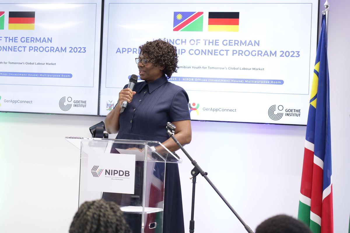 NIPDB targets school leavers with German apprenticeship programme - The ...