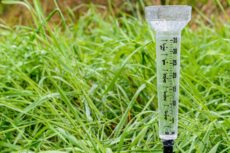 The importance of keeping rainfall records - The Brief | Namibia's ...