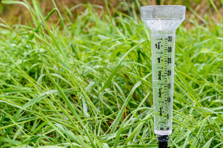 The importance of keeping rainfall records - The Brief | Namibia's ...