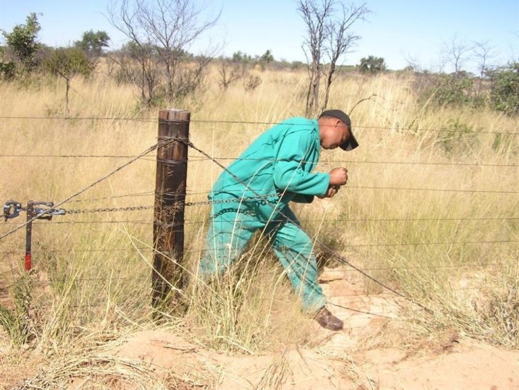 Livestock and Livestock Product Board budgets N$2m for redline repair ...