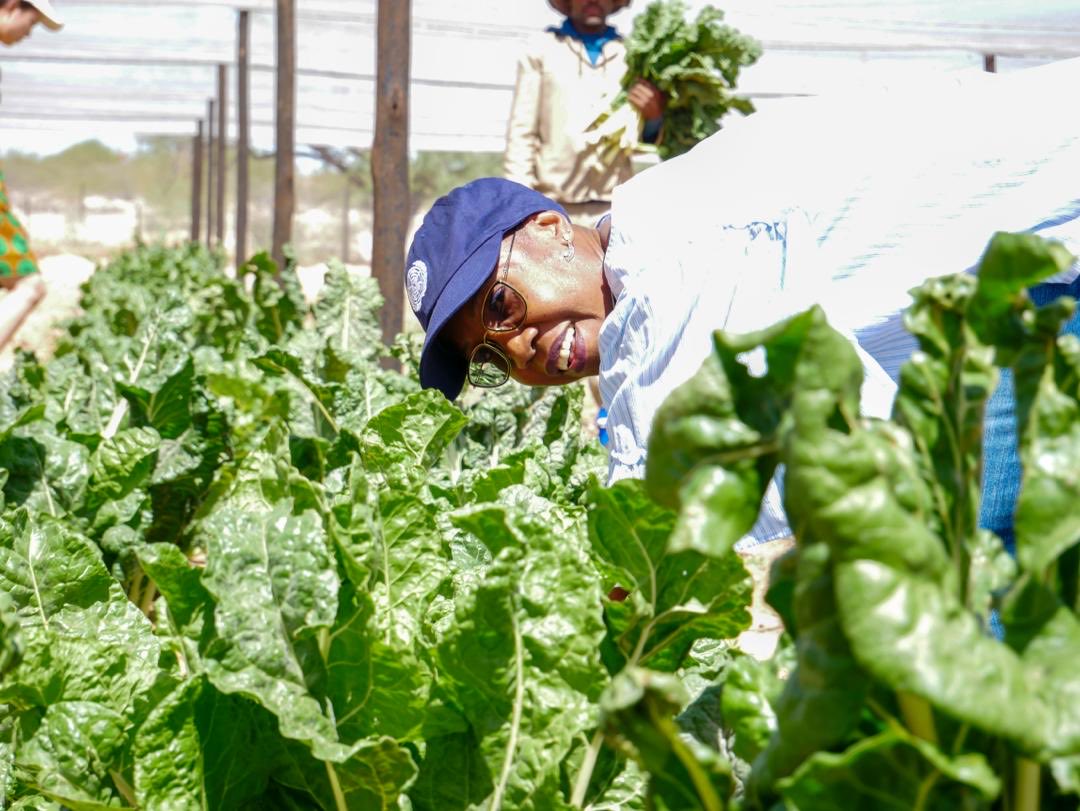 Namibian farmers harvest 100 metric tonnes of produce through WFP ...