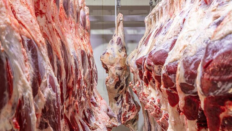 Namibian beef exports up 66.2% to 17.6 million kg in 9 months - The ...