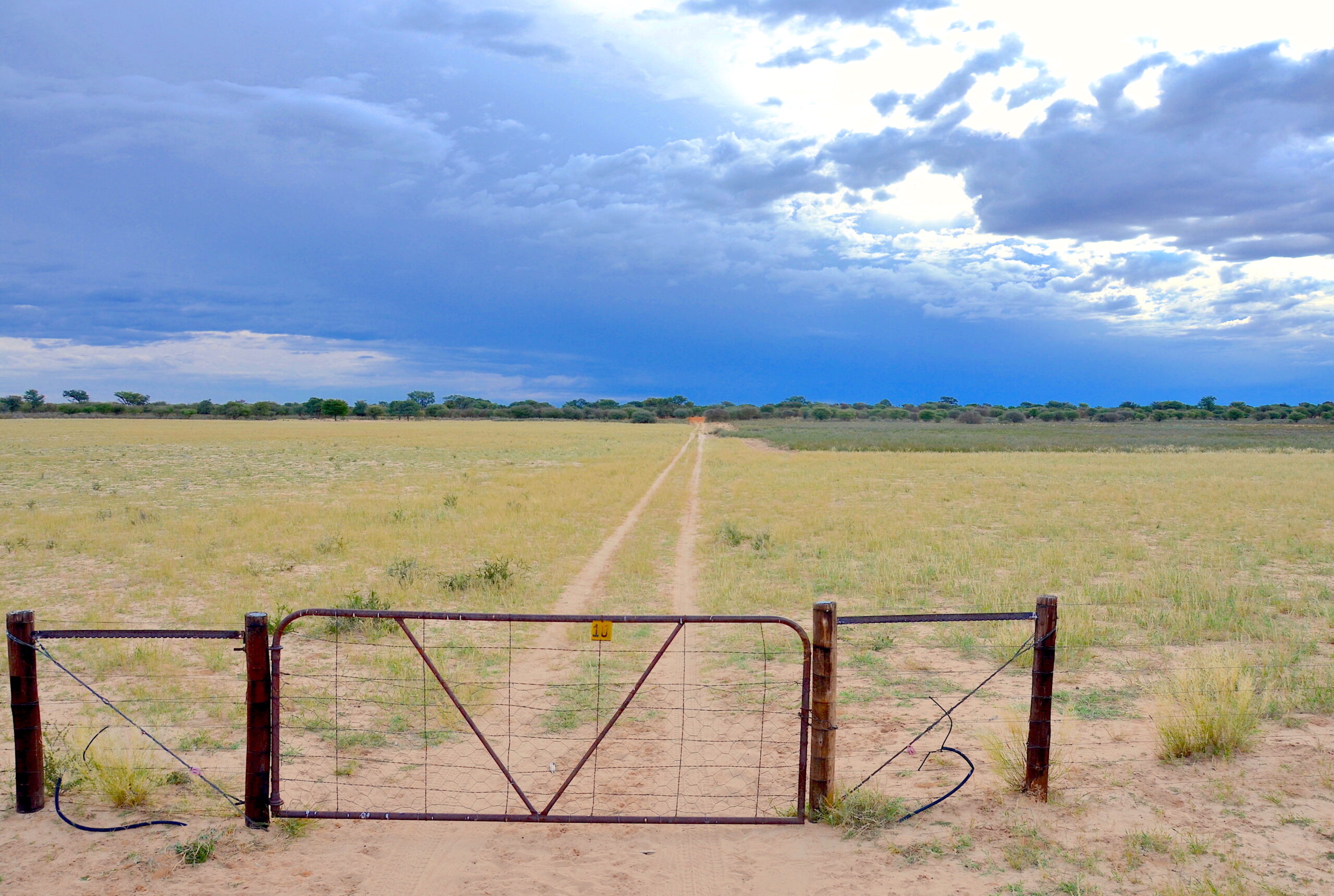 Over 60% of households in Namibia lack land ownership, rights - The ...