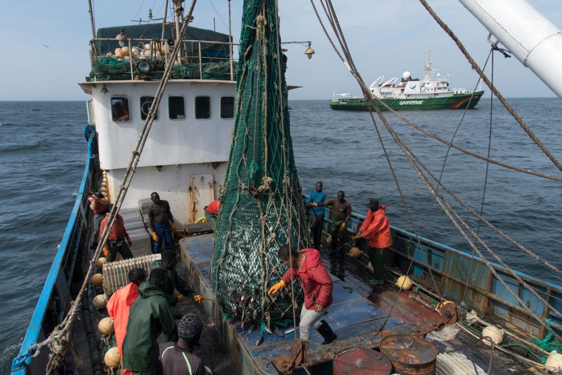 Namibia to review 462 fishing rights ahead of 2026–27 expiry - The ...
