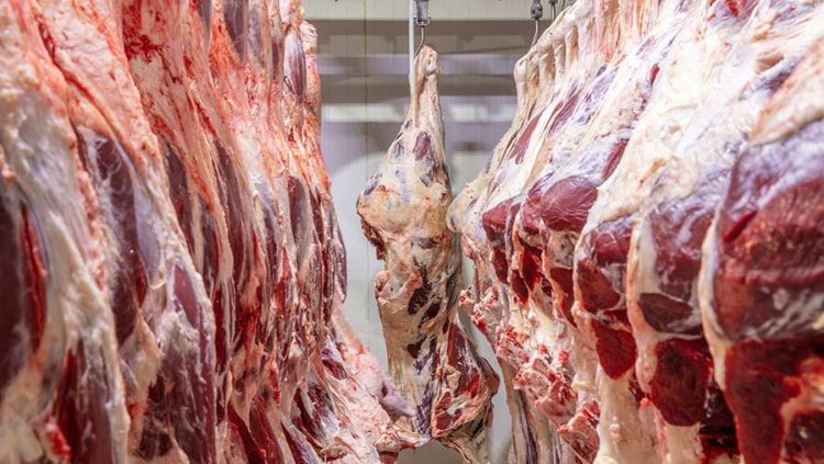 Savanna Beef weighs participation in Norwegian beef quota
