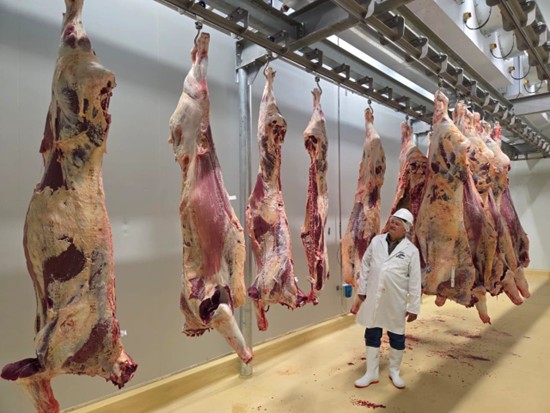 Savanna Beef pilots NSX-traded slaughter rights ahead of EU