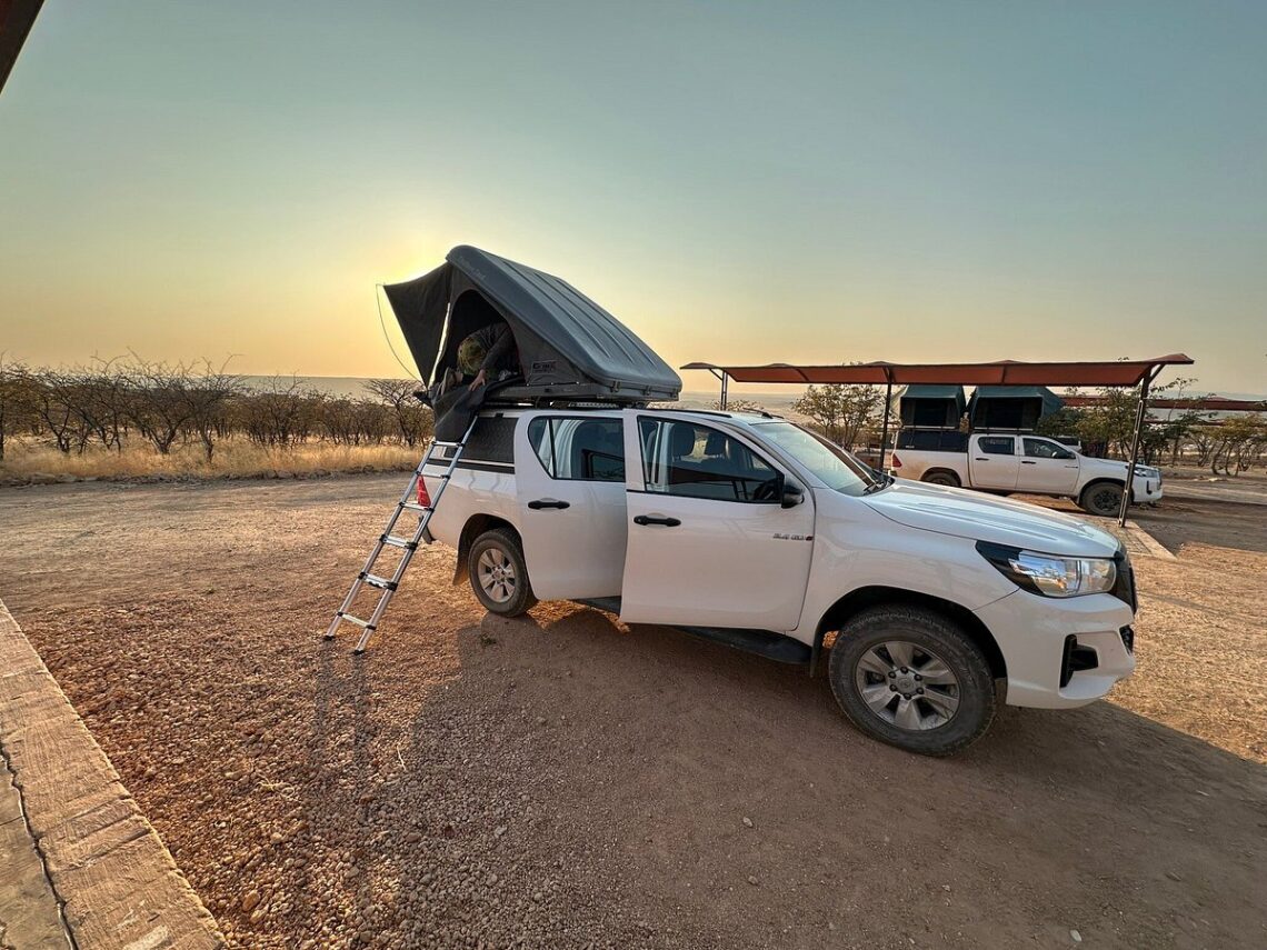 Local shuttle businesses face pressure from foreign vehicles