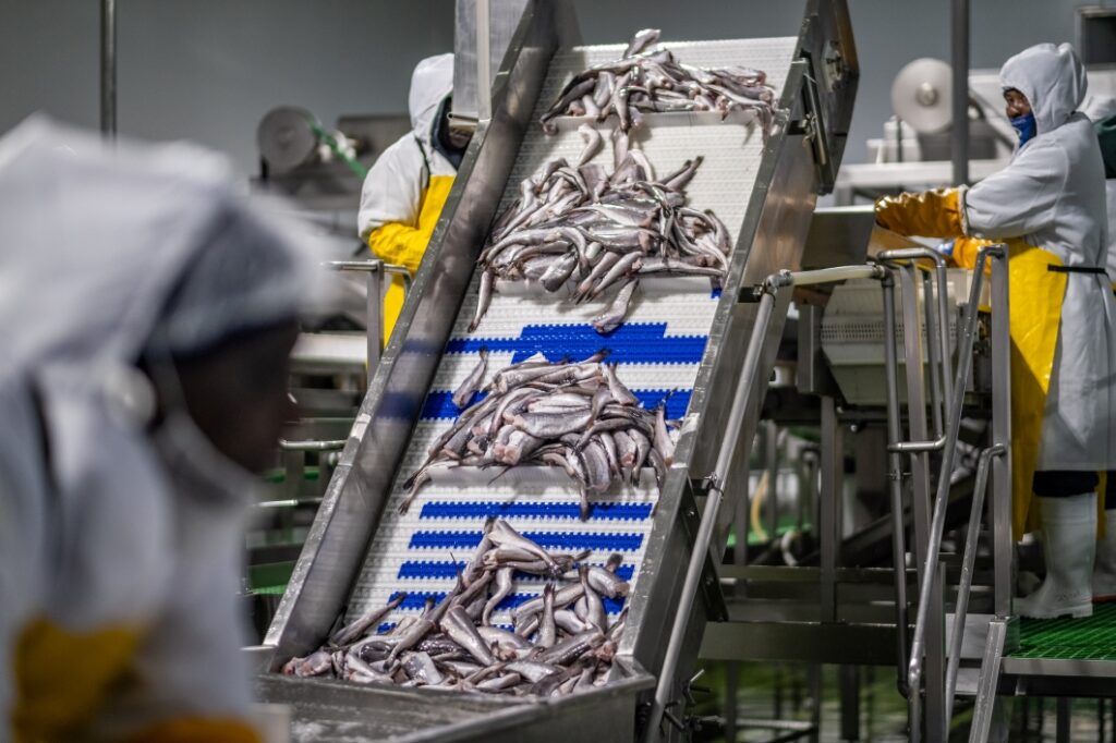 Namibia’s fishing sector production projected to rise to 414,000 tonnes ...