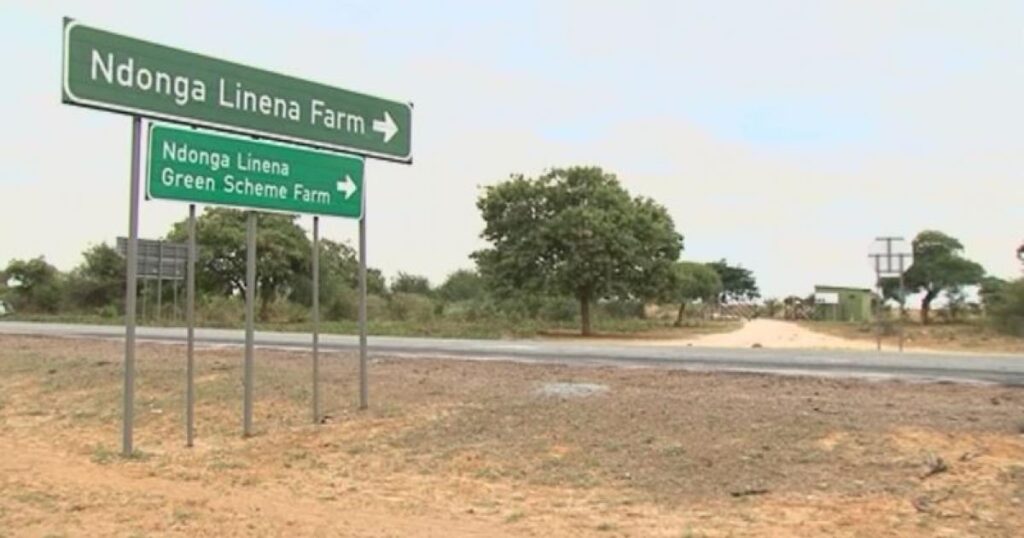 Ndonga Linena targets N$47.5m turnover as output rises