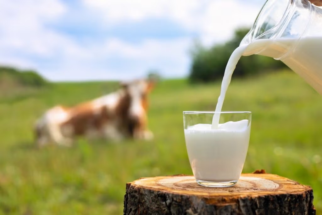 Namibia imports over 1.3 million litres of milk in January