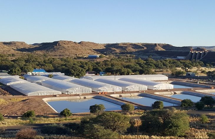 Agriculture ministry explores PPP to revive Hardap aquacultu
